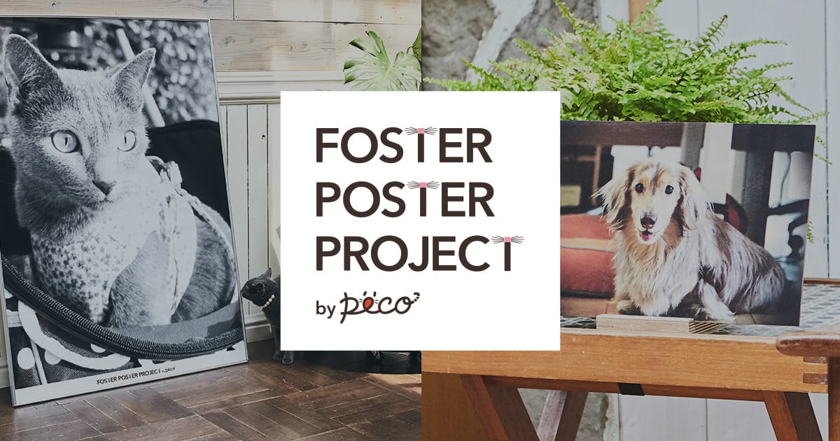 FOSTER POSTER PROJECT 「うちのコかわいい」の想いが、いのちをつなぐ。 by PECO